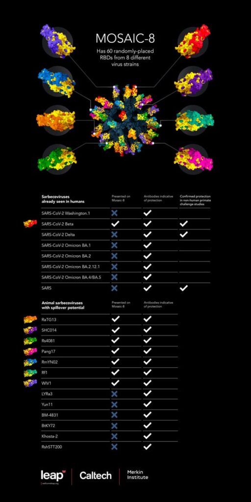 Wellcome Leap announces breakthrough in funded project | Wellcome Leap ...